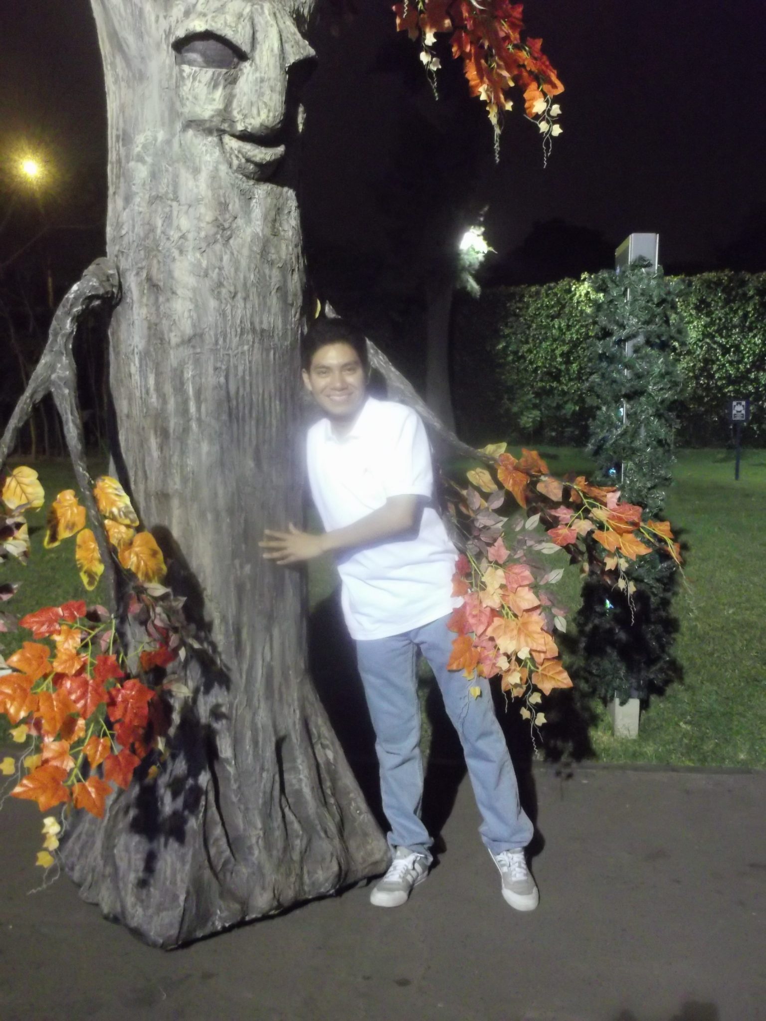 Lima - Bruce Rommel Villegas Alva